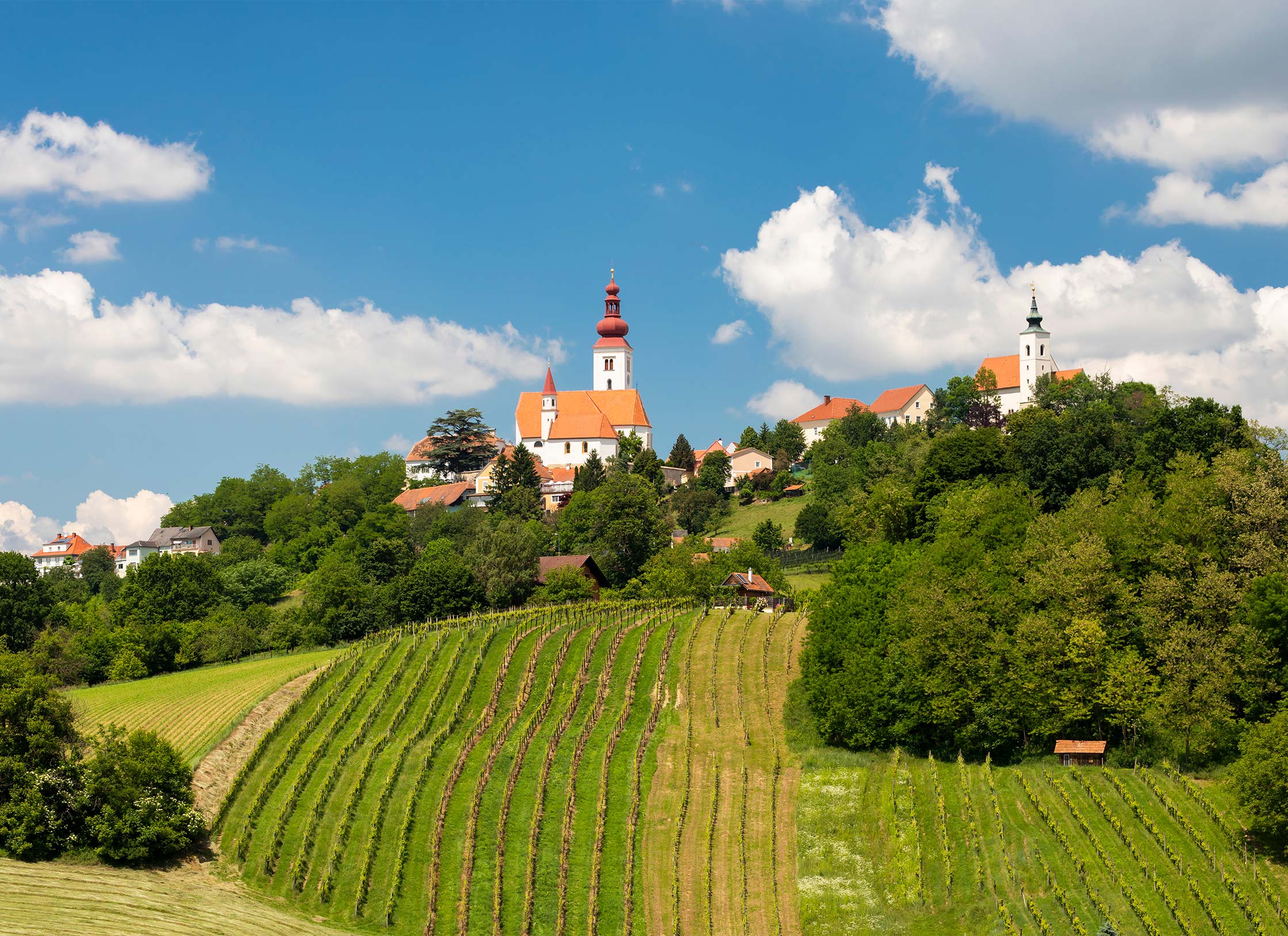 De Merin » Erholung im Boutique Hotel Straden | Austrian Limited